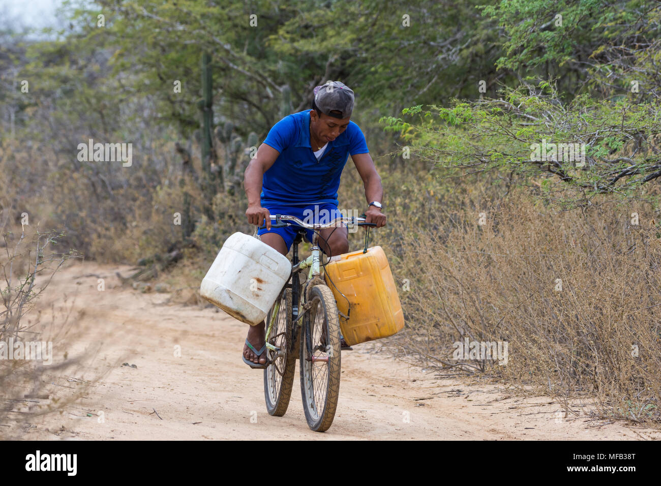 Fetch water hi-res stock photography and images - Alamy