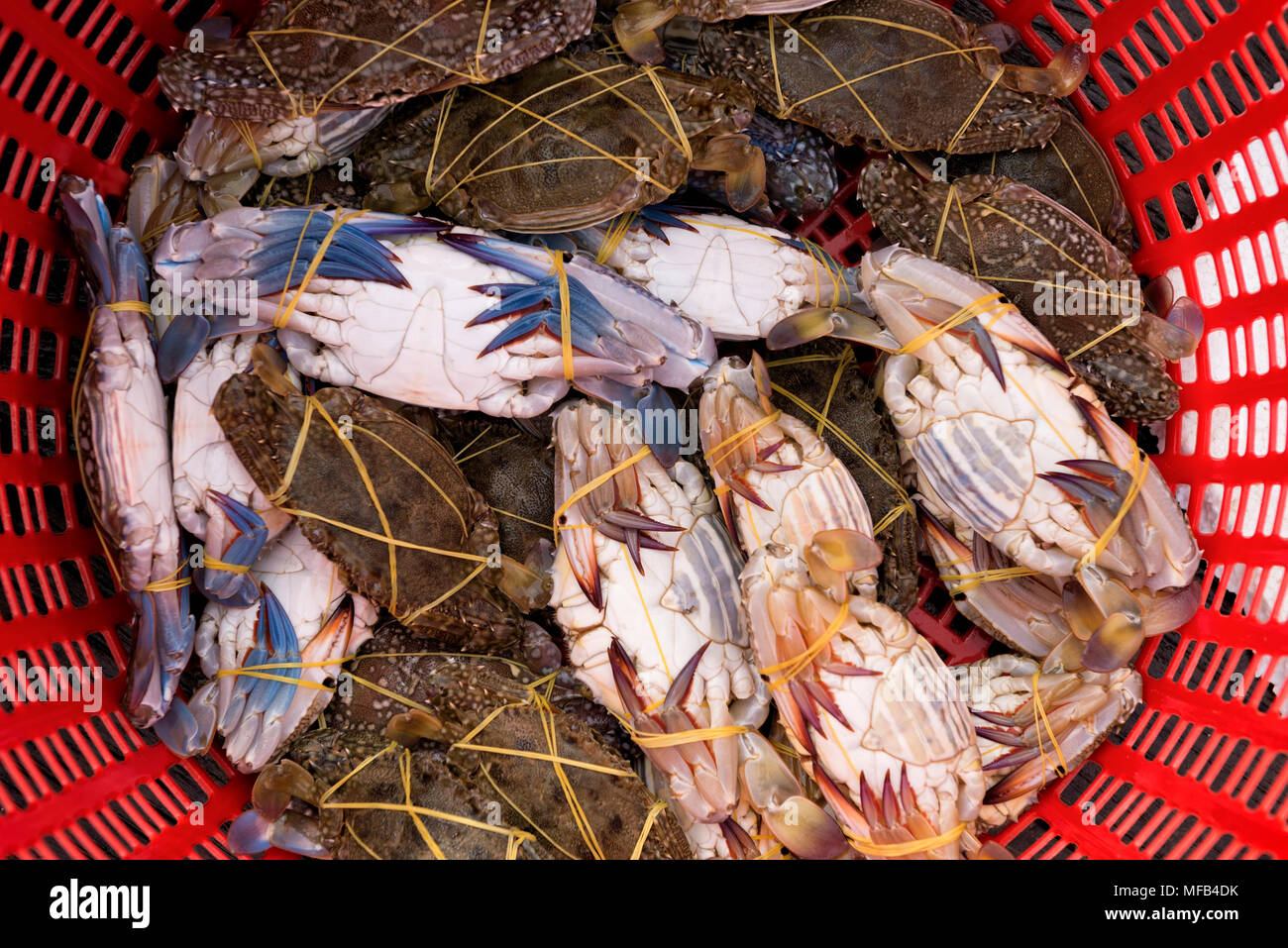 Fish shell basket seafood hi-res stock photography and images - Alamy