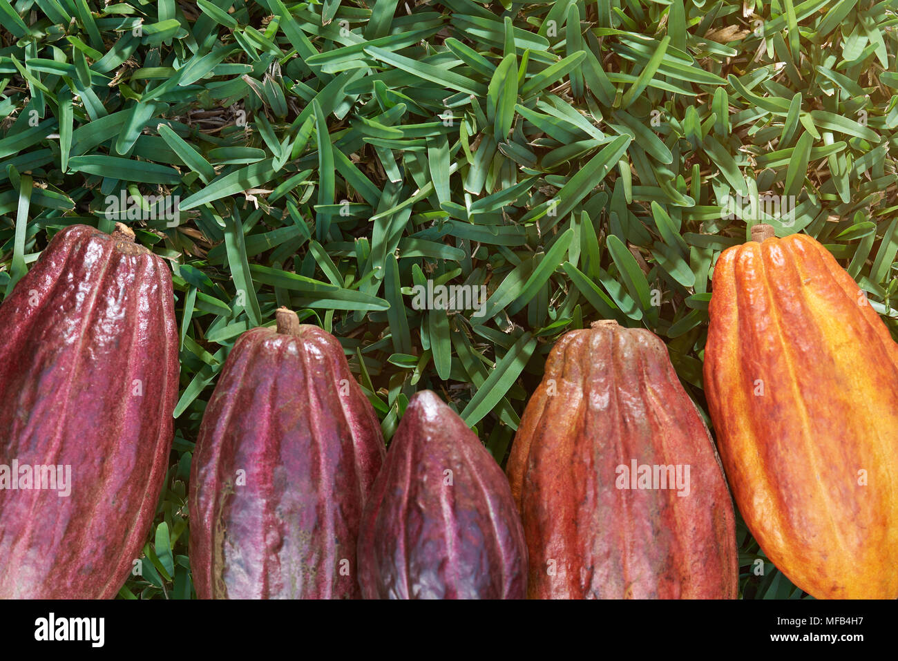 Top view tasty green hi-res stock photography and images - Alamy