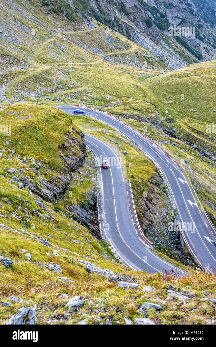 Curvy Road Landscape