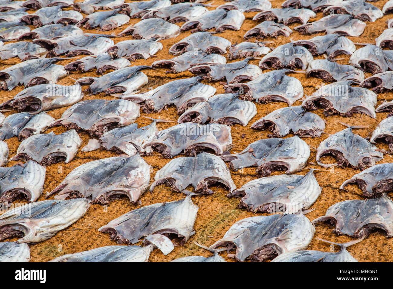 Dried fish curry hi-res stock photography and images - Alamy