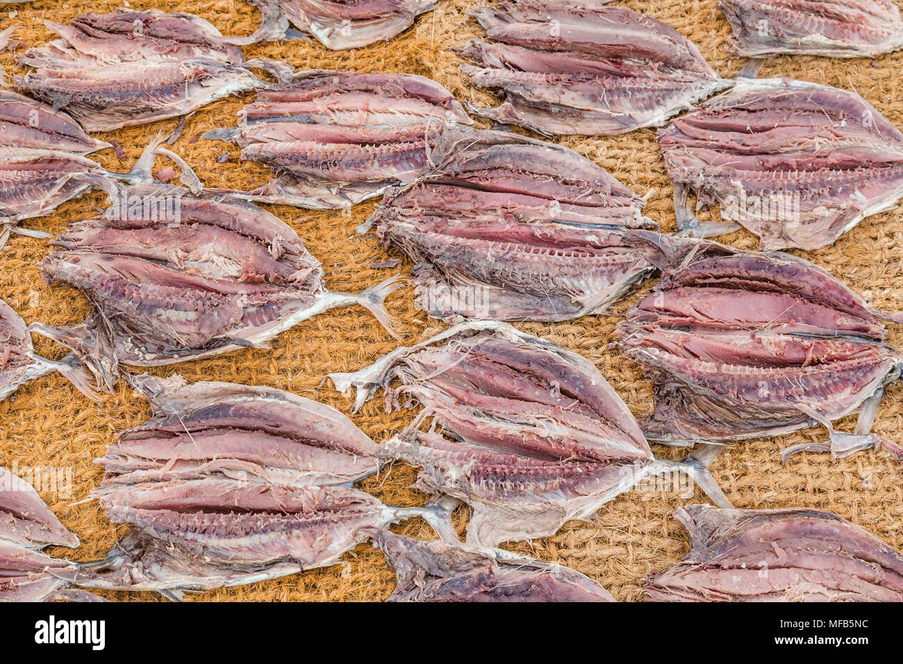 Drying fresh fish Stock Photo - Alamy