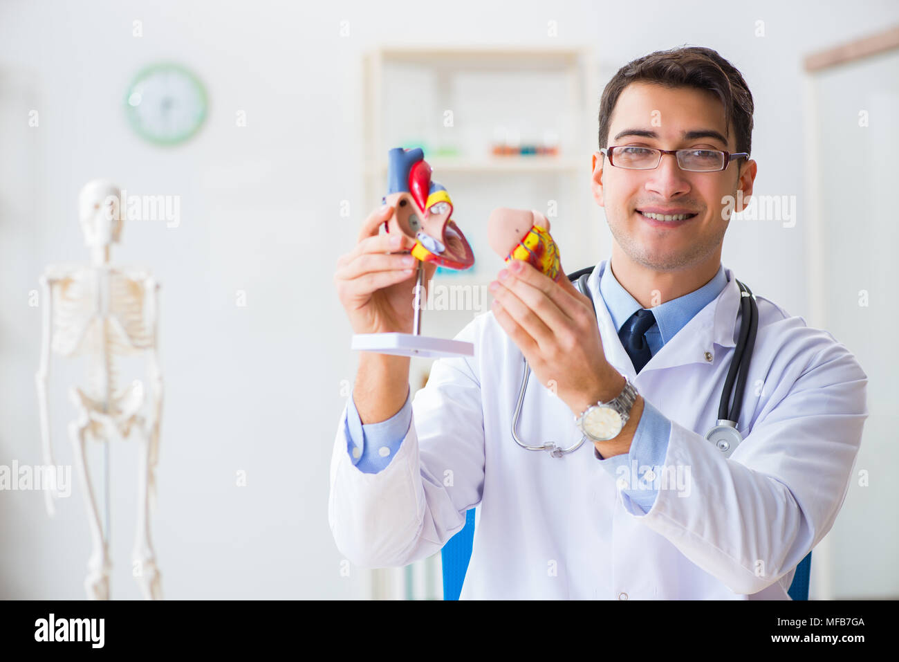 Doctor explaining the heart model Stock Photo - Alamy