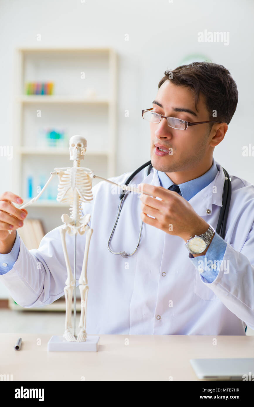 Doctor student studying the bones of skeleton Stock Photo - Alamy