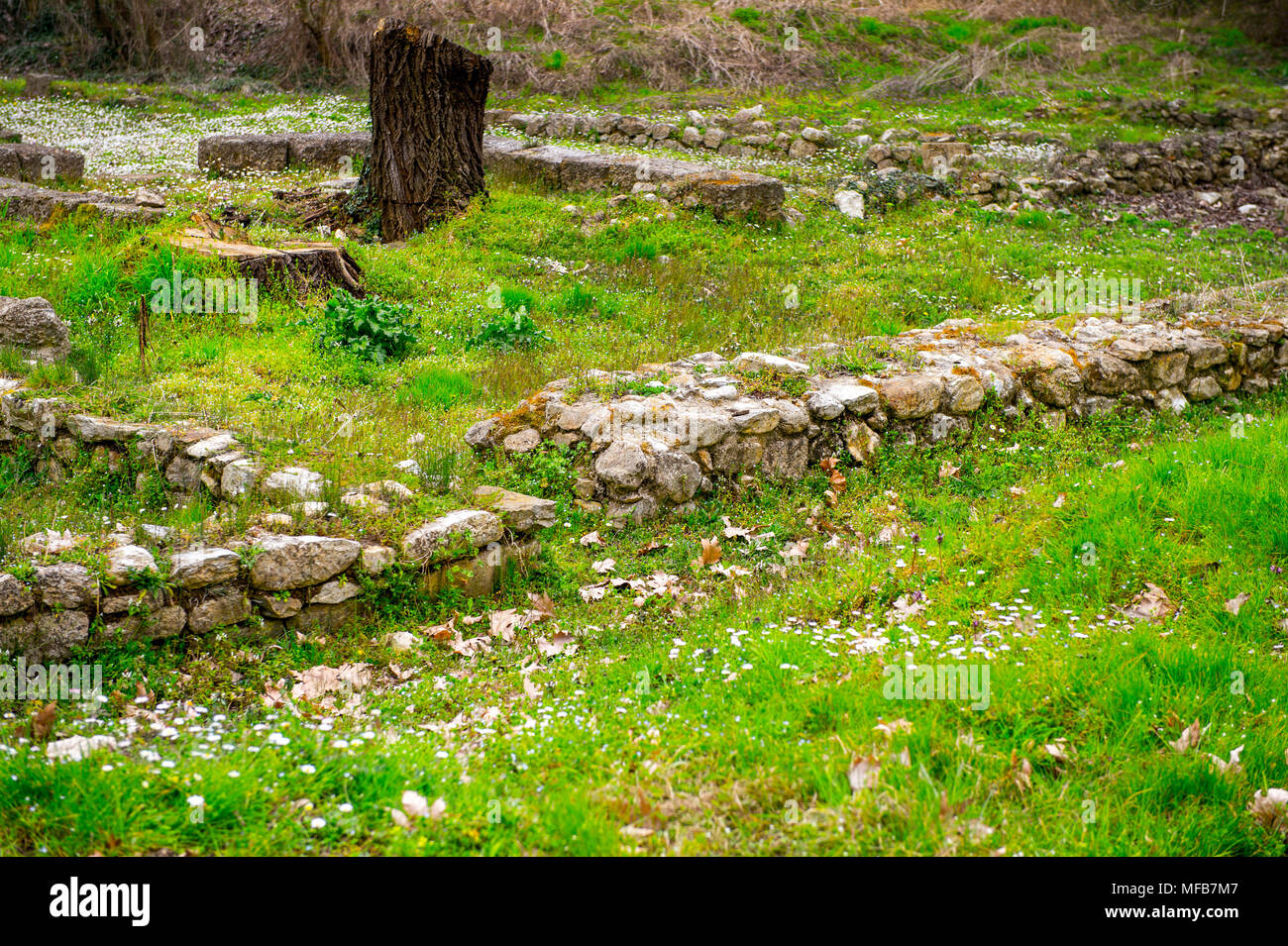 Ancient ruins of Dion, Greece Stock Photo - Alamy