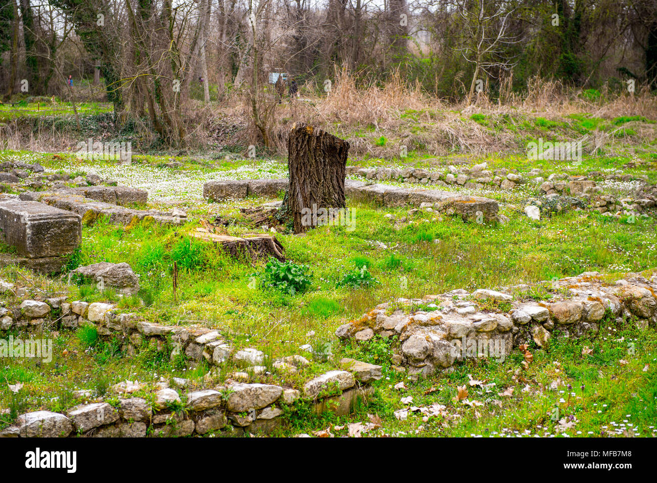 Ancient ruins of Dion, Greece Stock Photo - Alamy