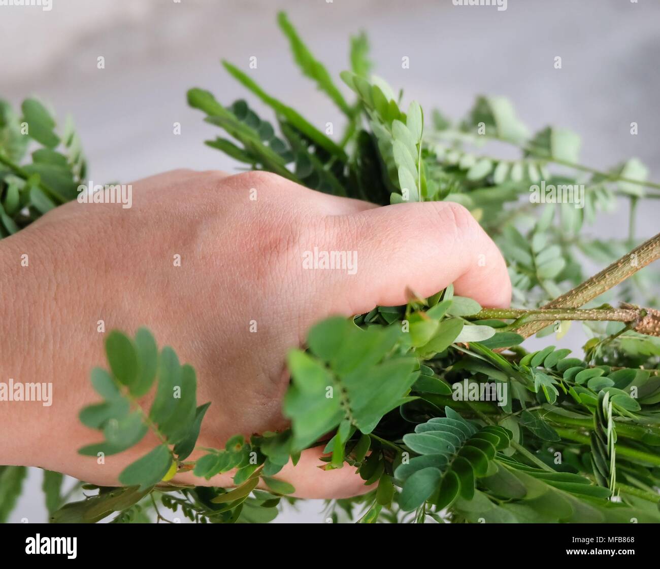 Ecology and Environment Concept, Gardener Holding The Waste of Sponge ...