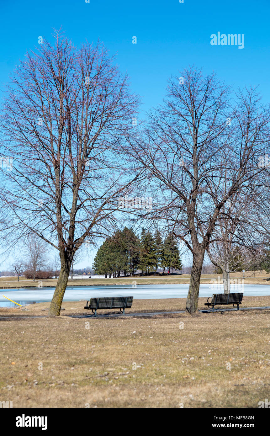 Andrew Haydon Park in Spring Stock Photo - Alamy