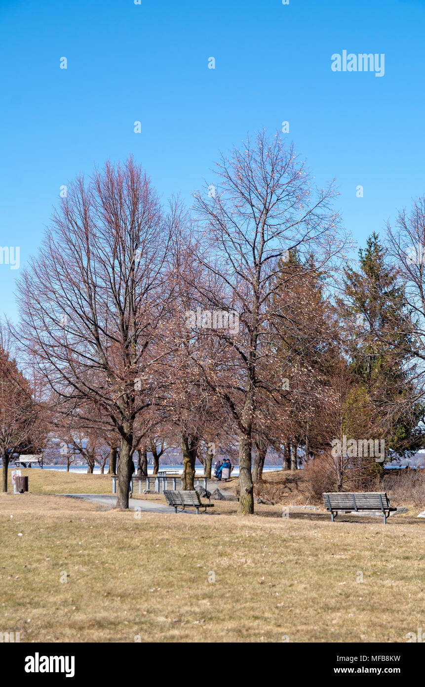 Andrew Haydon Park in Spring Stock Photo - Alamy