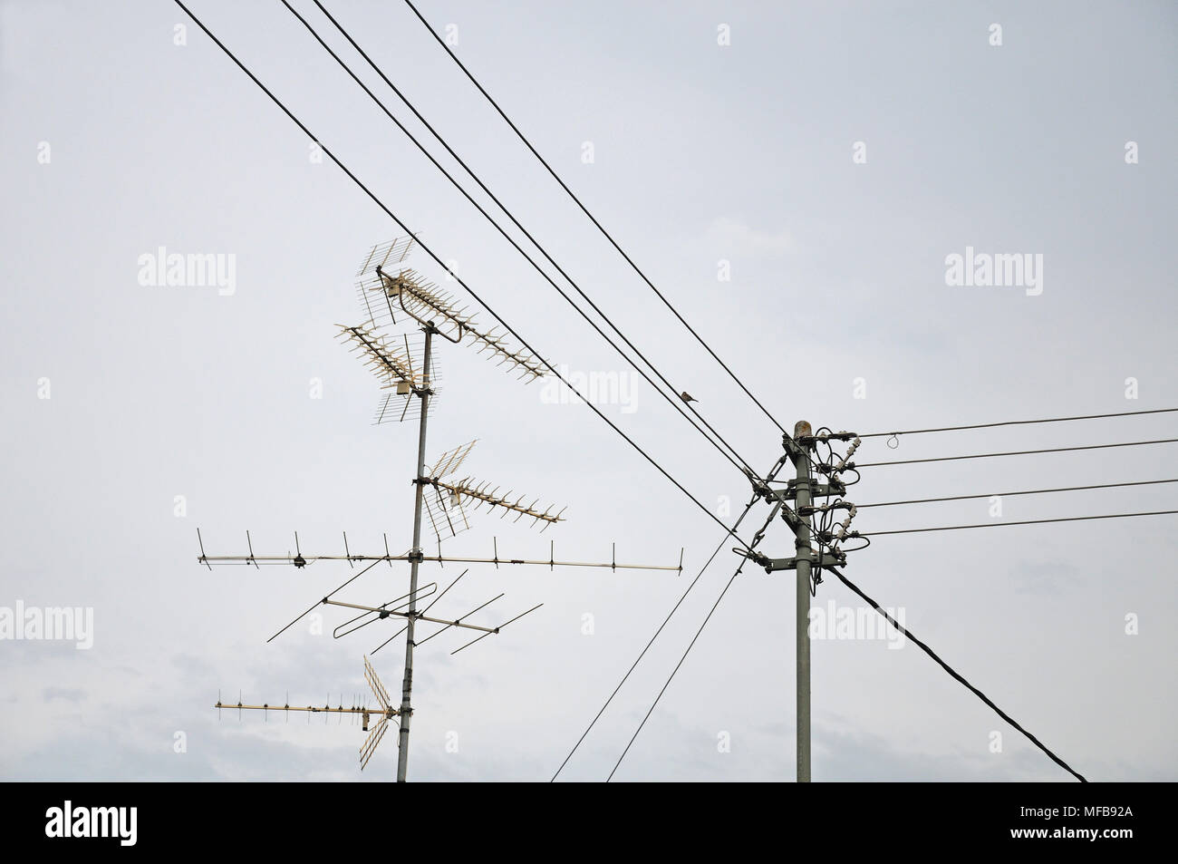 antenna and power distribution post Stock Photo - Alamy