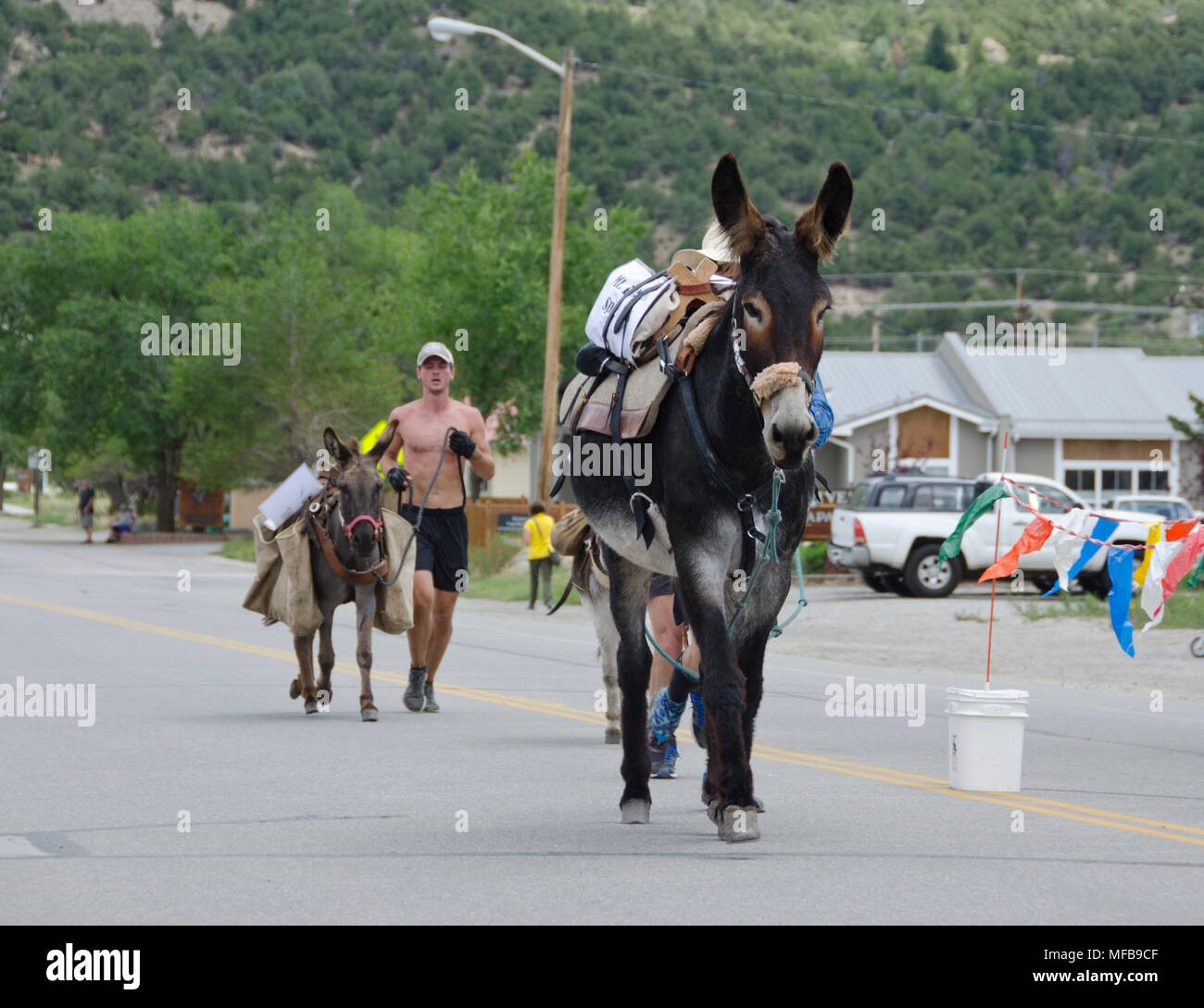 Pack burro hi-res stock photography and images - Alamy