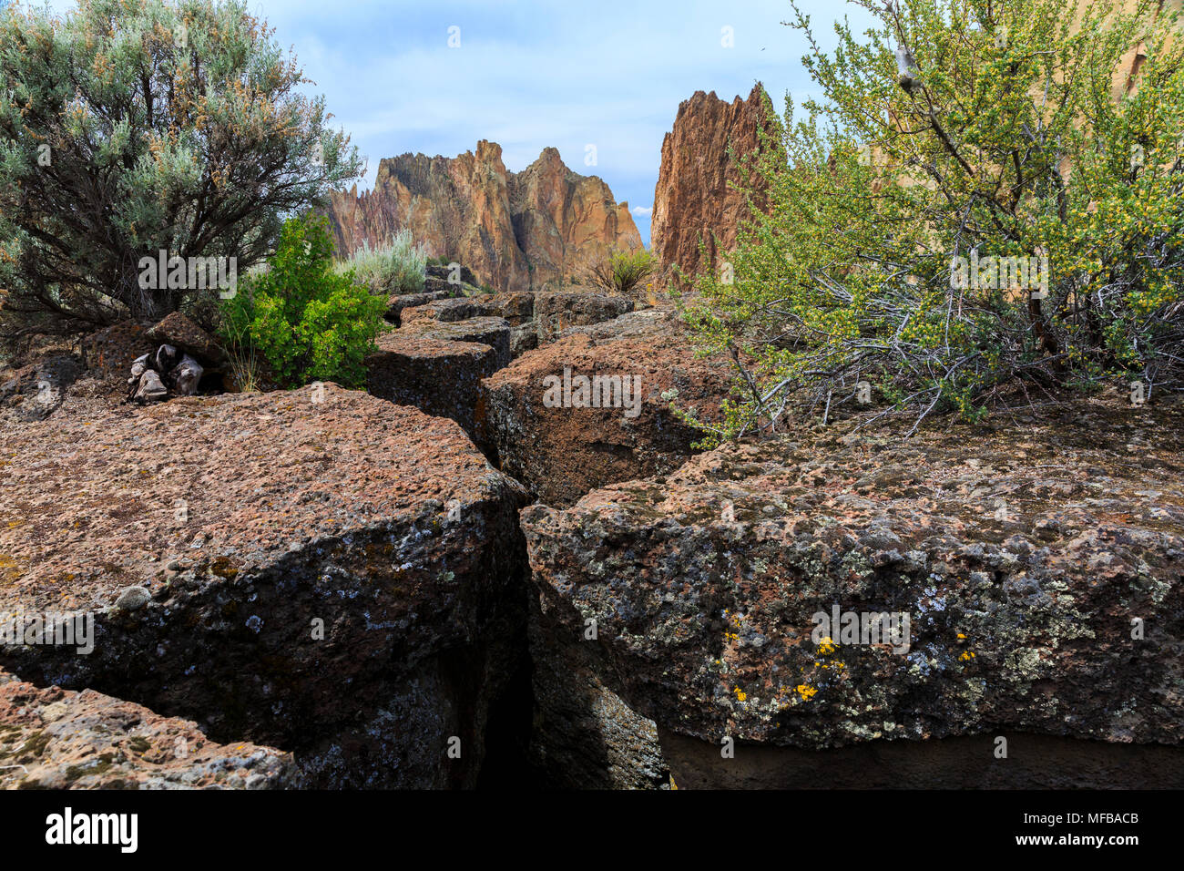 North America, United States, Oregon, Central Oregon, Redmond ...