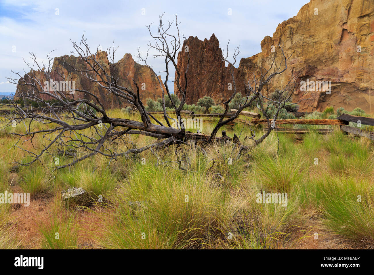 North America, United States, Oregon, Central Oregon, Redmond ...