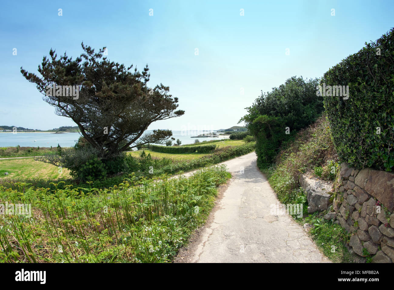 Bryher island hi-res stock photography and images - Alamy