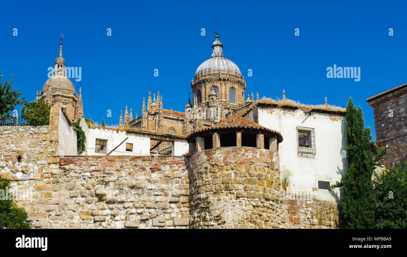 Old city of Salamanca architecture, UNESCO world heritage Stock Photo ...