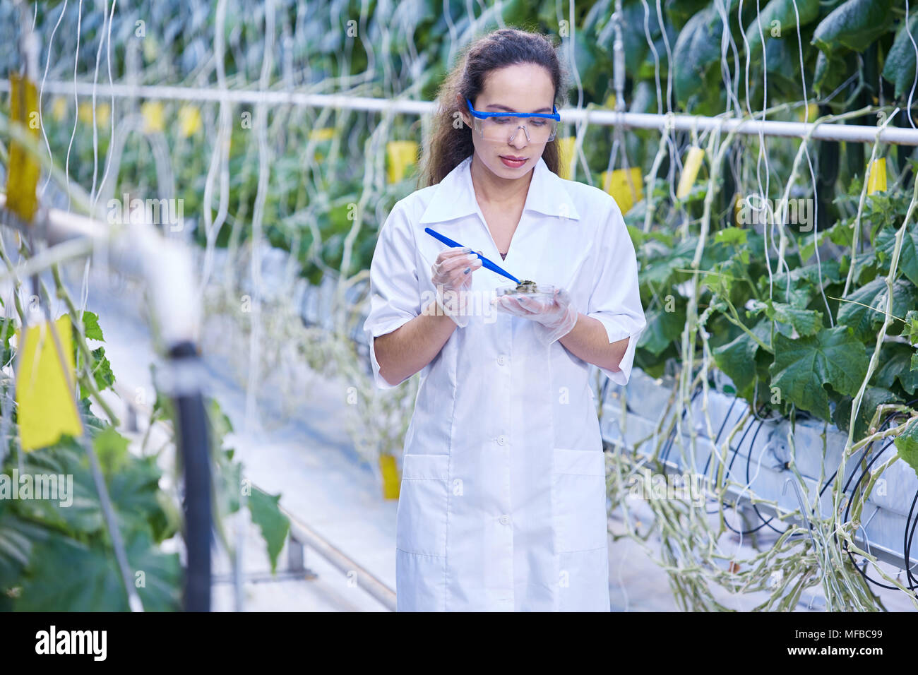Agronomy lab hi-res stock photography and images - Alamy