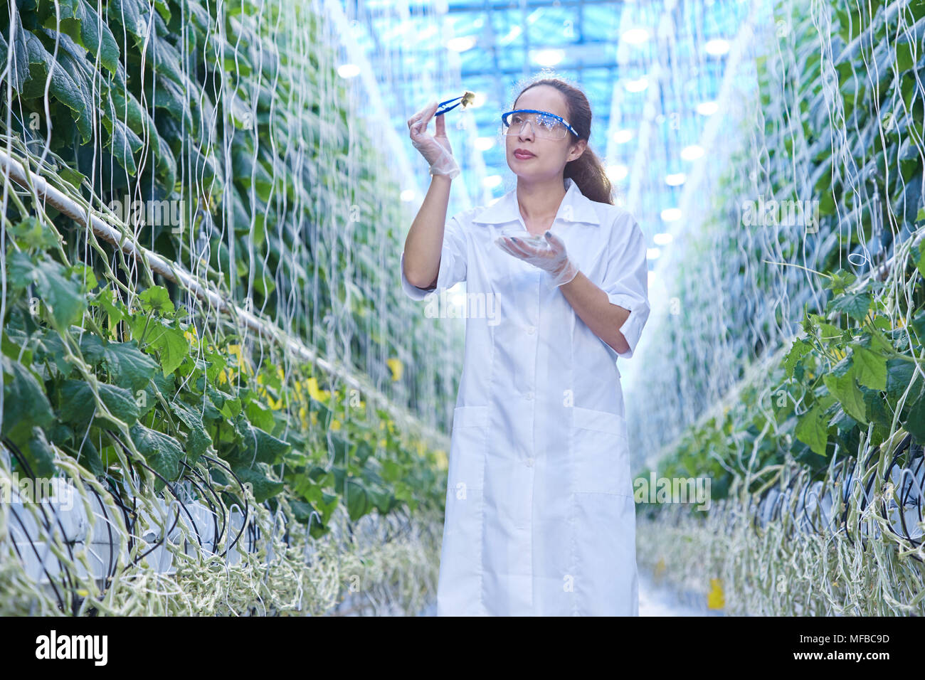 Agronomy lab hi-res stock photography and images - Alamy
