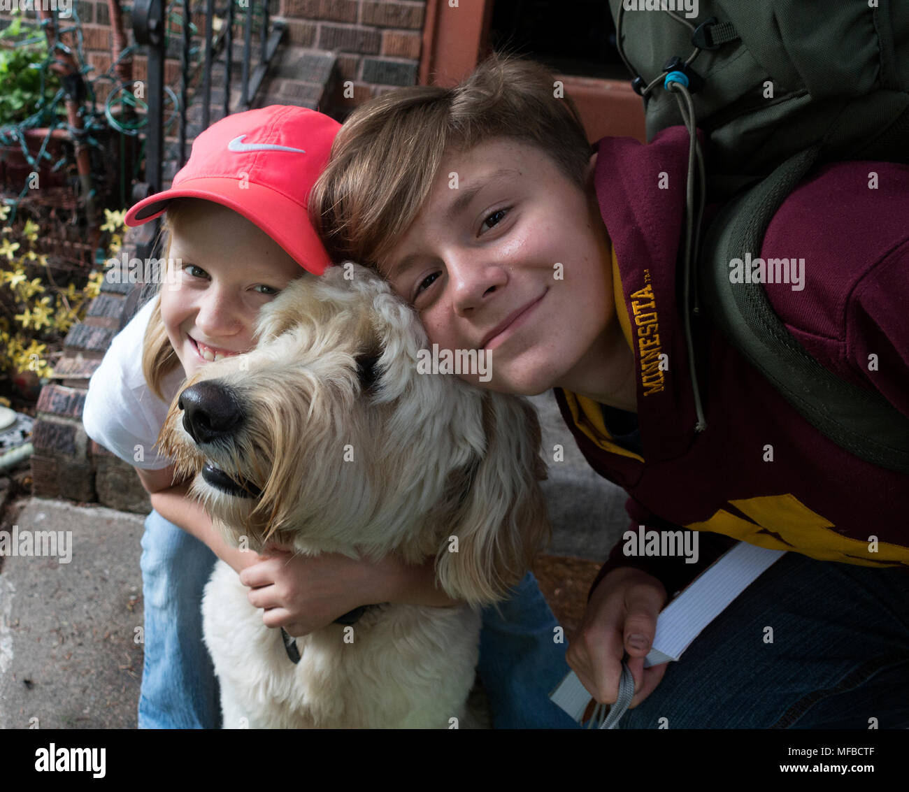 Sister and brother hug the family goldendoodle crossbreed pet dog. St ...