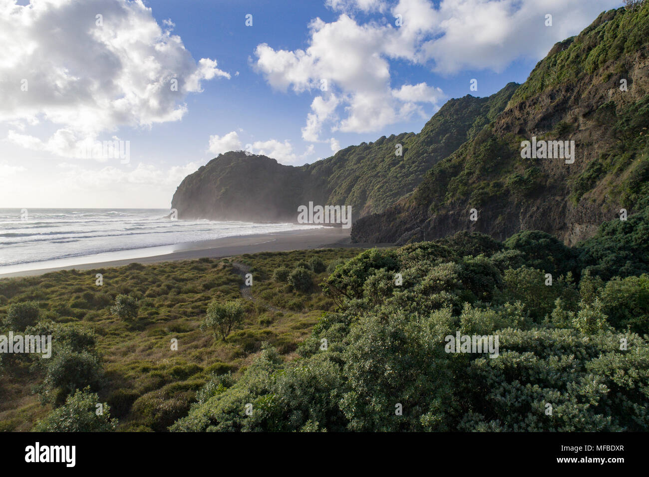 Piha Beach, Auckland New Zealand Stock Photo - Alamy