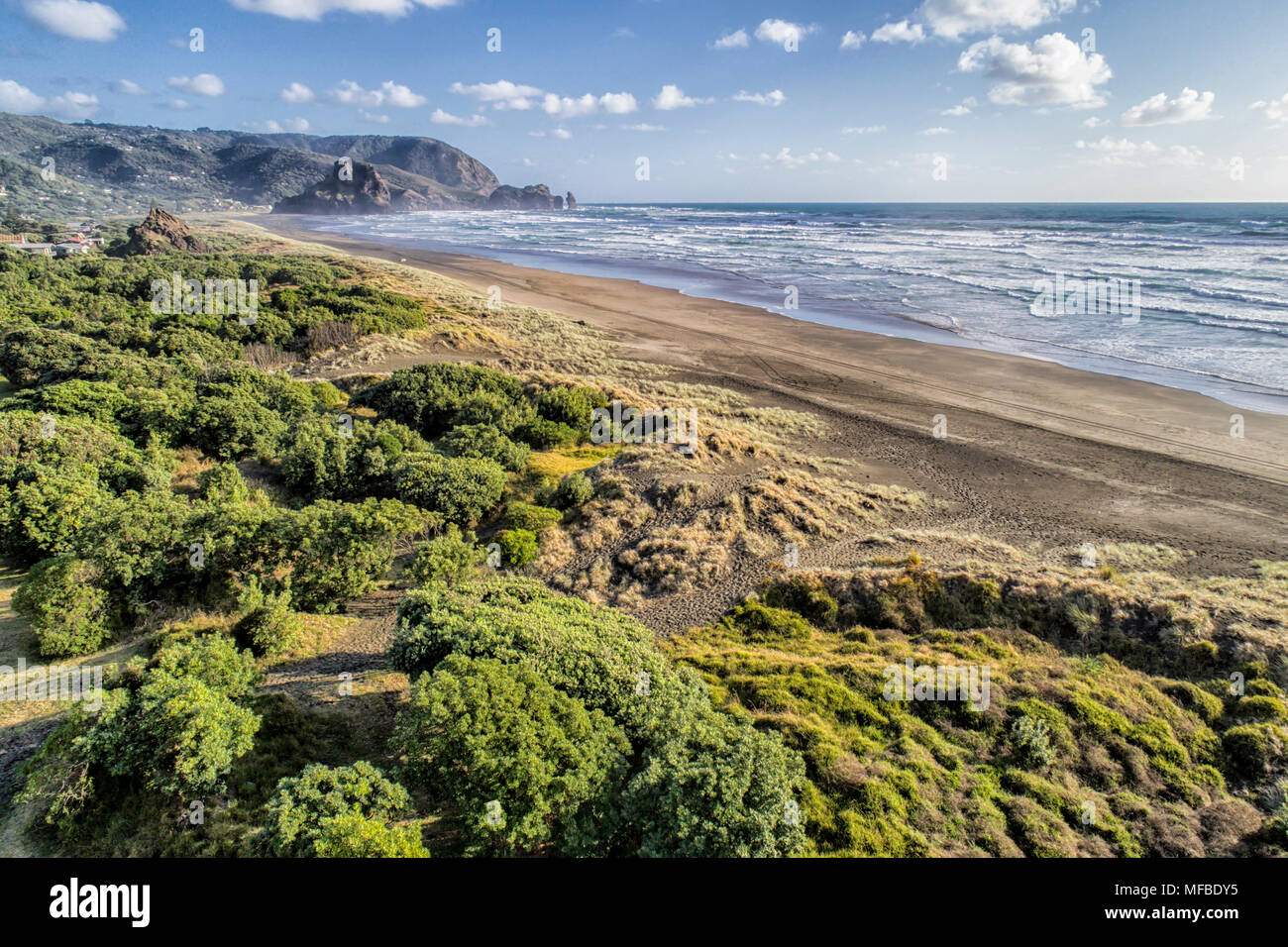 Piha beach auckland hi-res stock photography and images - Alamy