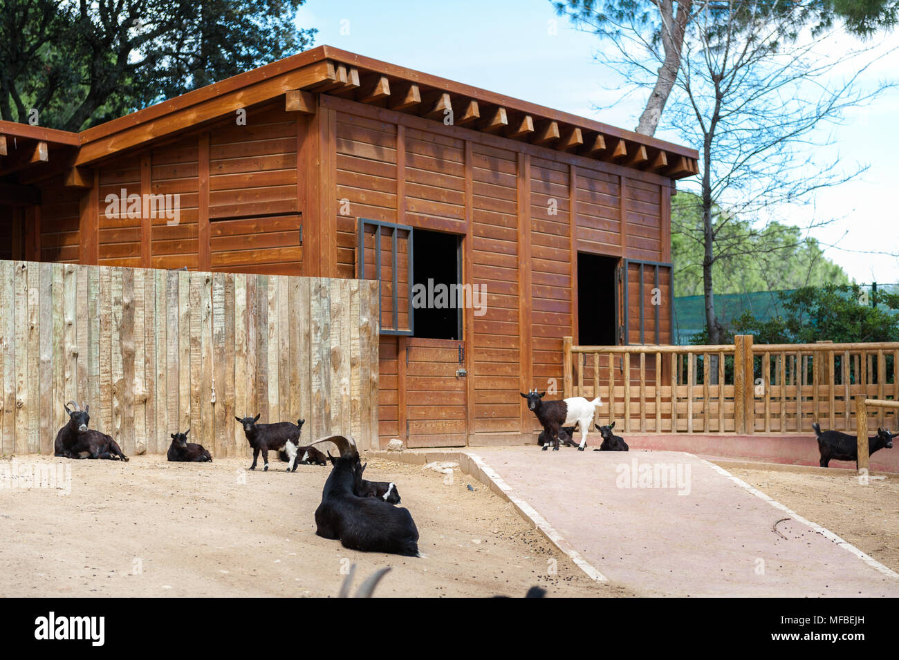 Little farm with goats Stock Photo - Alamy