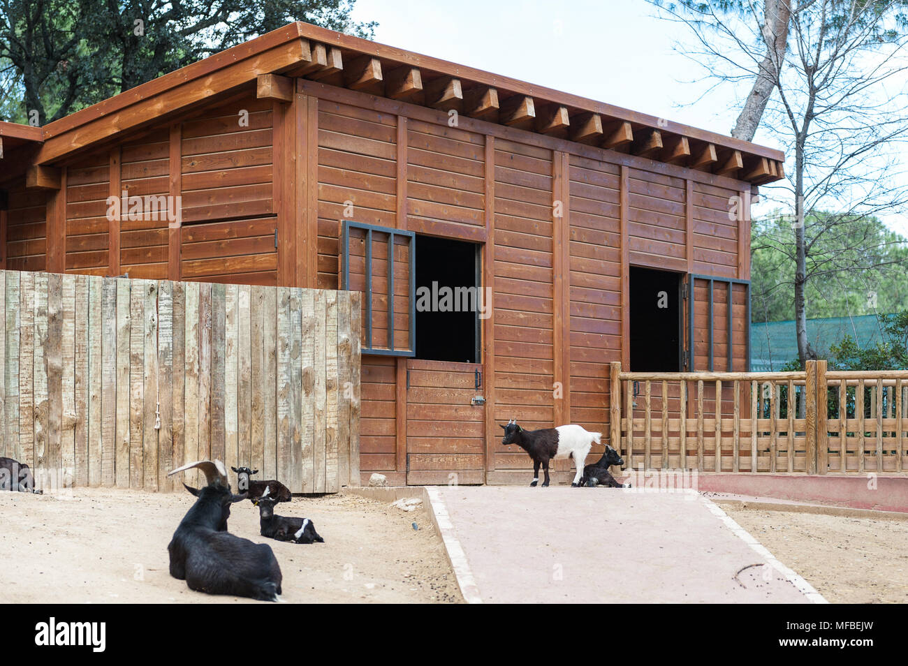 Little farm with goats Stock Photo - Alamy
