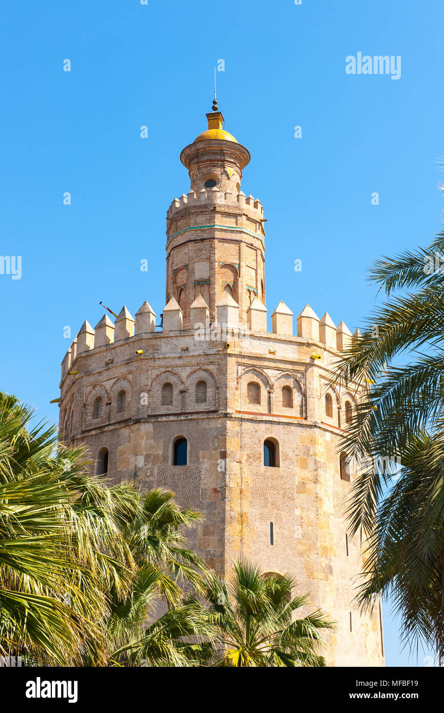 Watchtower golden tower torre hi-res stock photography and images - Alamy