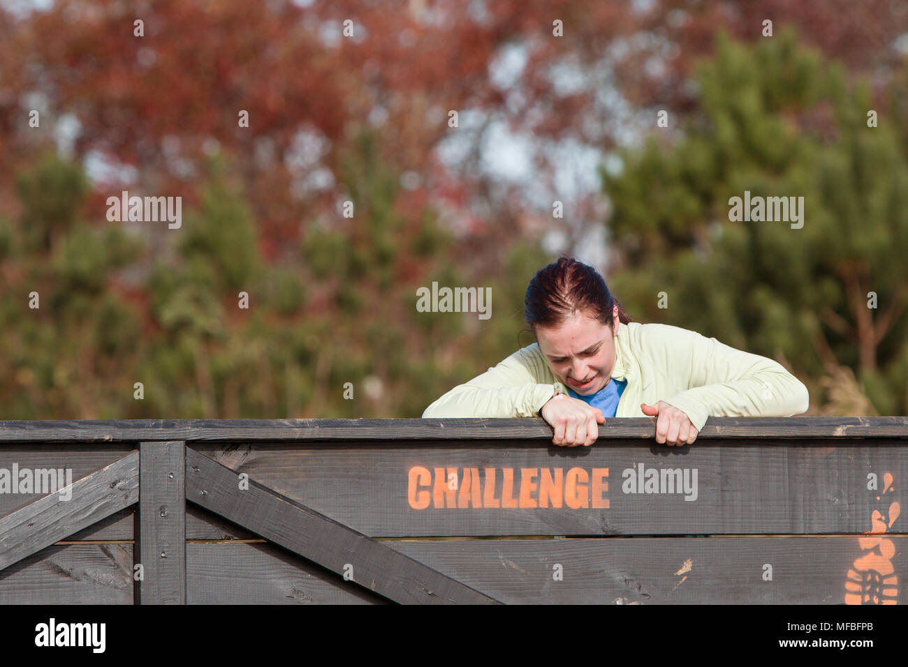 Wooden obstacle course hi-res stock photography and images - Alamy