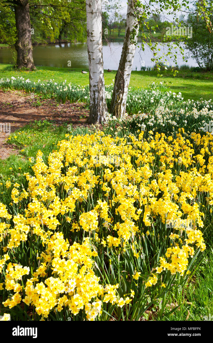 Botanická zahrada prague hi-res stock photography and images - Alamy