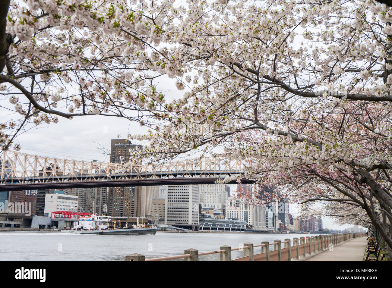 The magnolia route hi-res stock photography and images - Alamy