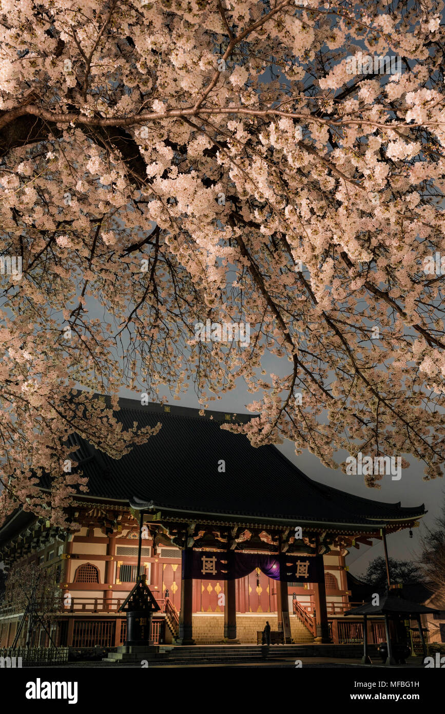 Ikegami Honmonji temple, Ota-Ku, Tokyo, Japan Stock Photo - Alamy