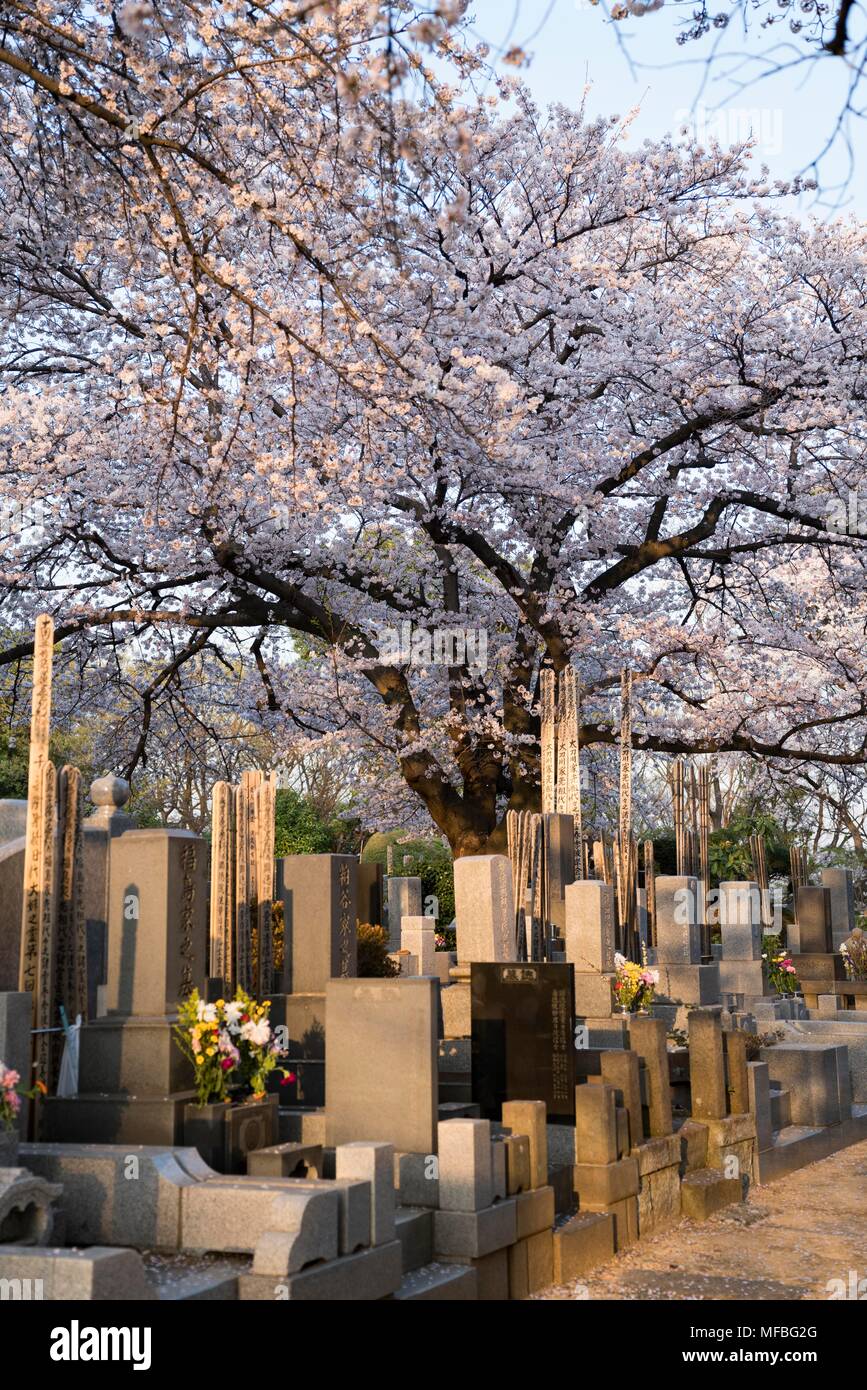 Traditional japanese graves hi-res stock photography and images - Alamy