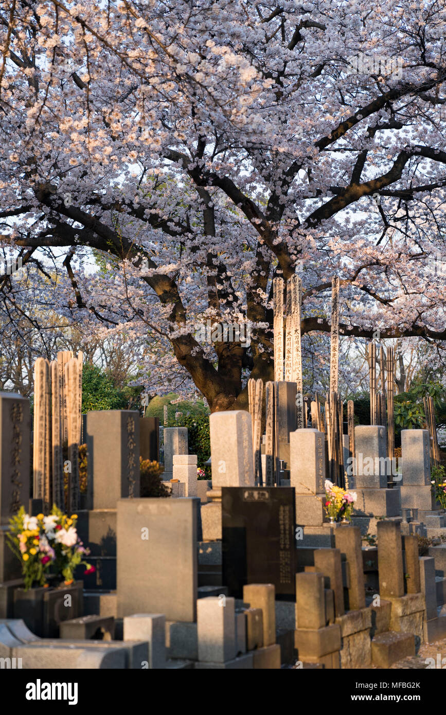 Traditional japanese graves hi-res stock photography and images - Alamy