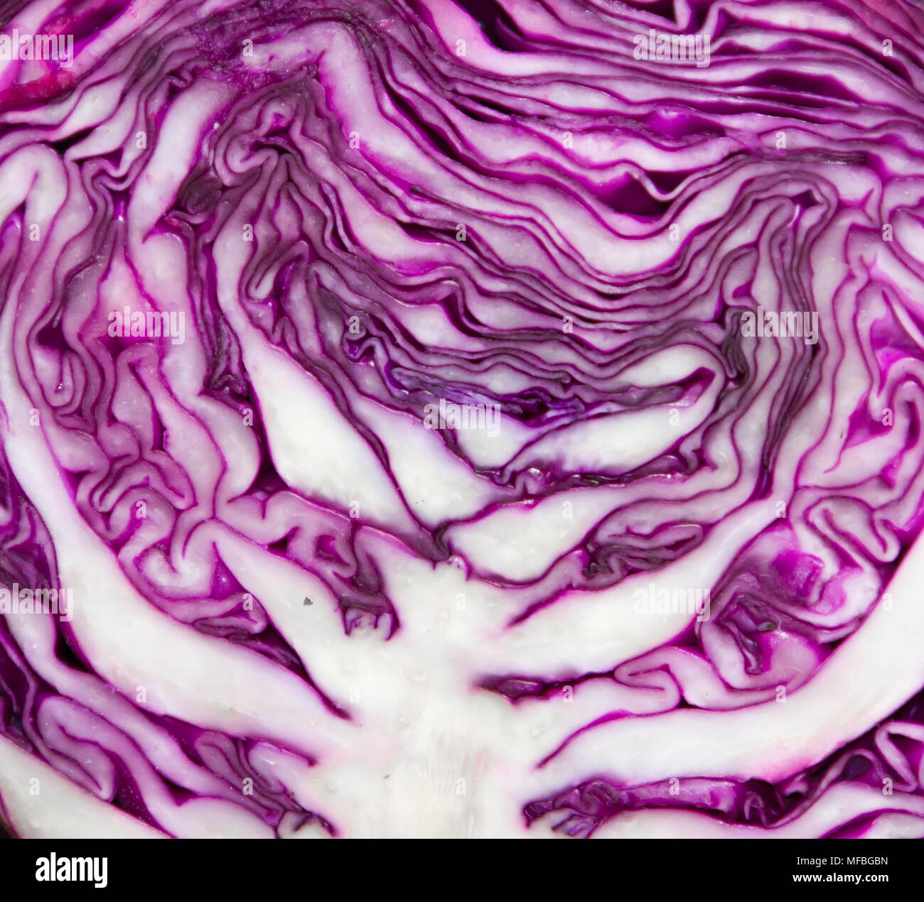 variety of violet vegetables with white background Stock Photo - Alamy