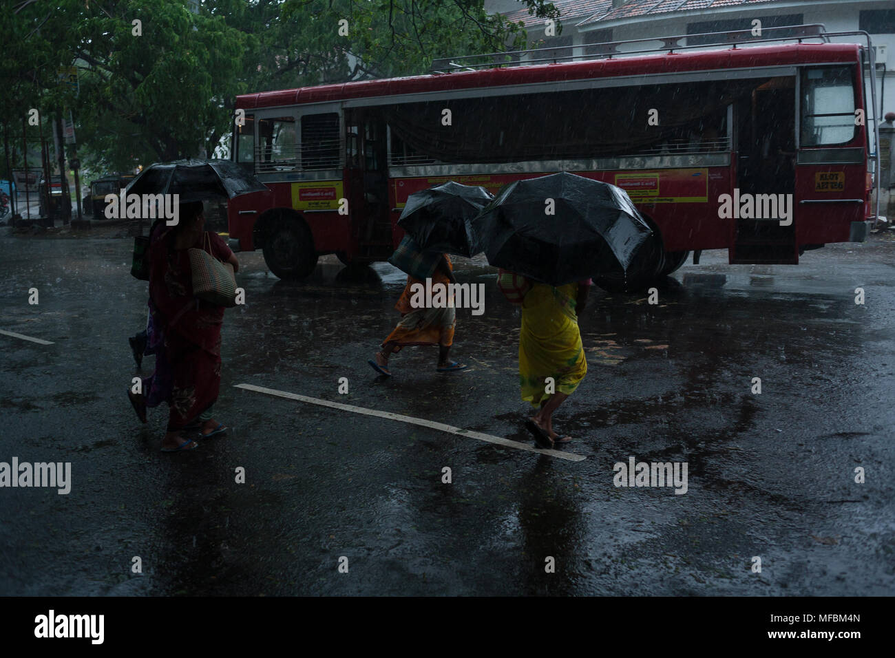 Monsoon Kerala Stock Photo - Alamy