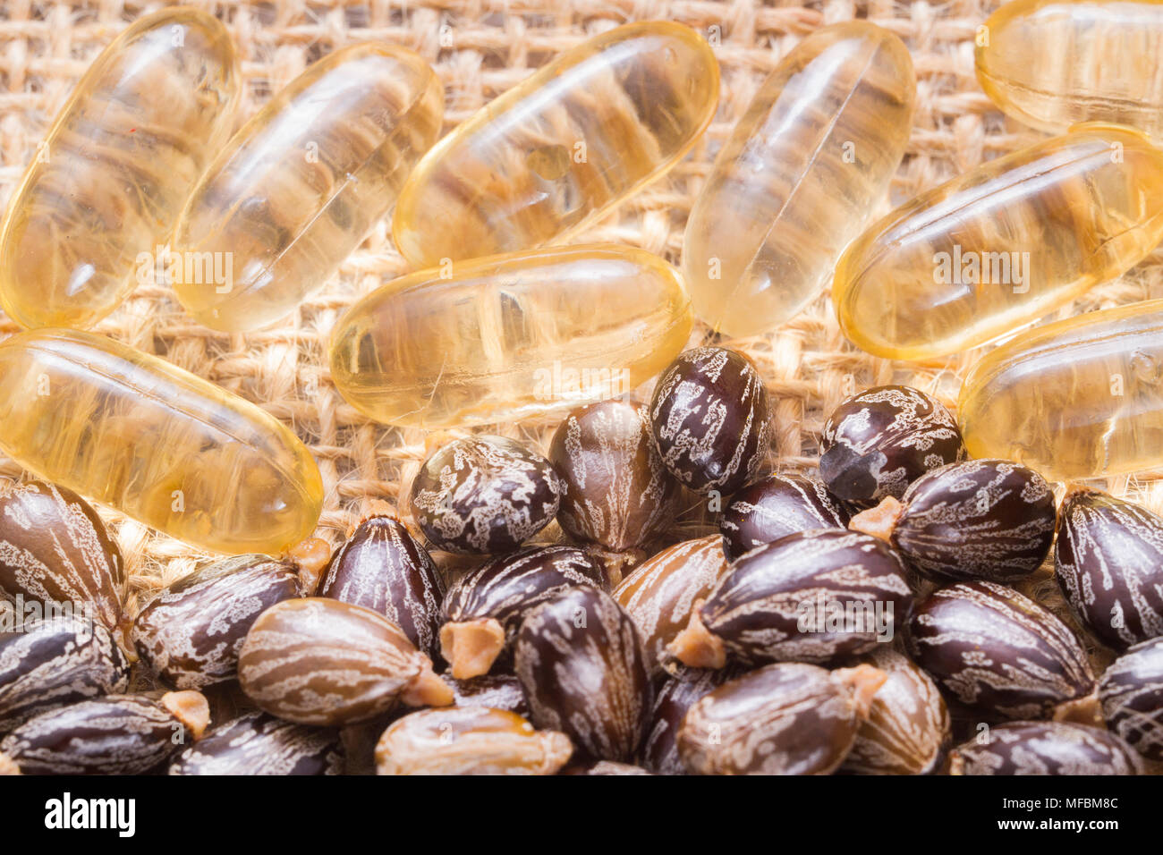 Castor oil and seeds, Ricinus communis Stock Photo - Alamy