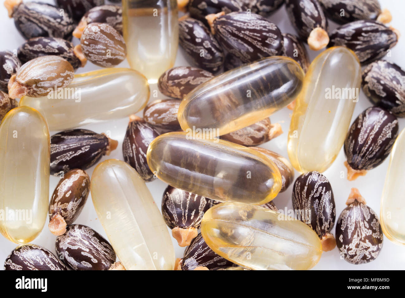 Castor oil and seeds, Ricinus communis Stock Photo - Alamy