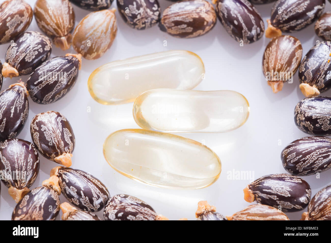 Castor oil and seeds, Ricinus communis Stock Photo - Alamy