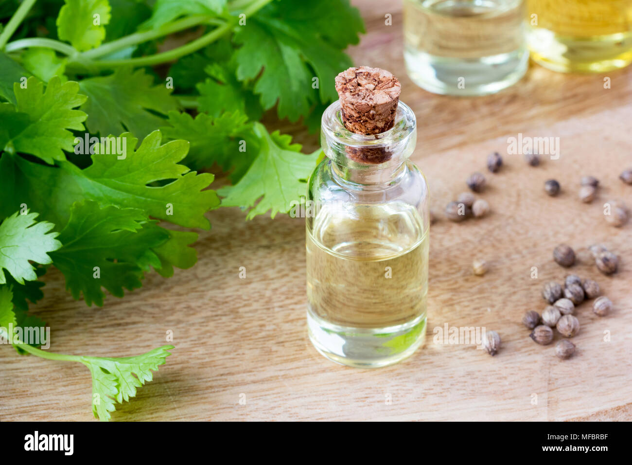 Cilantro essential oil hi-res stock photography and images - Alamy