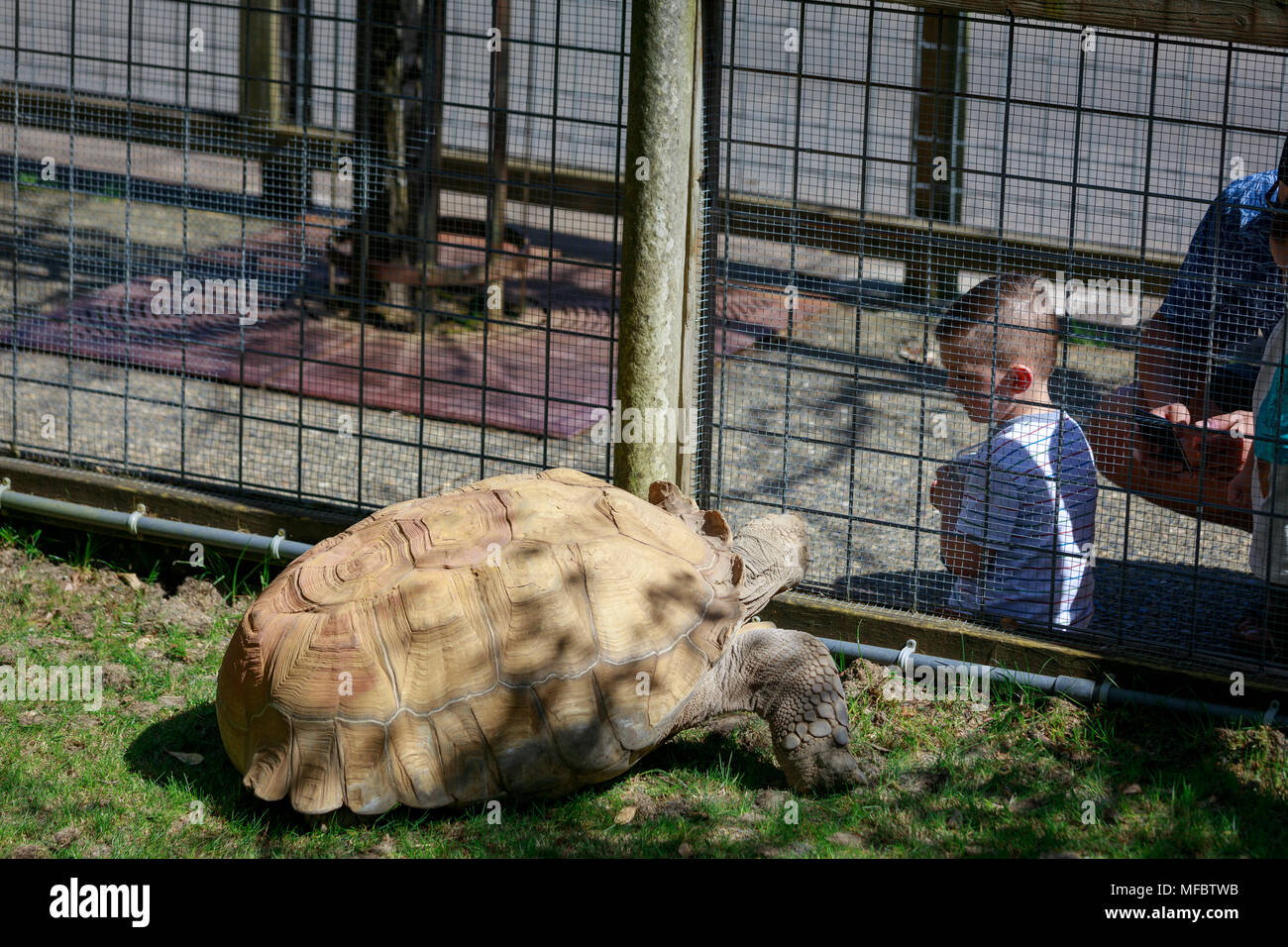 Portland, Oregon, USA - April 24, 2018 : Scenery of Oregon Zoo, which ...