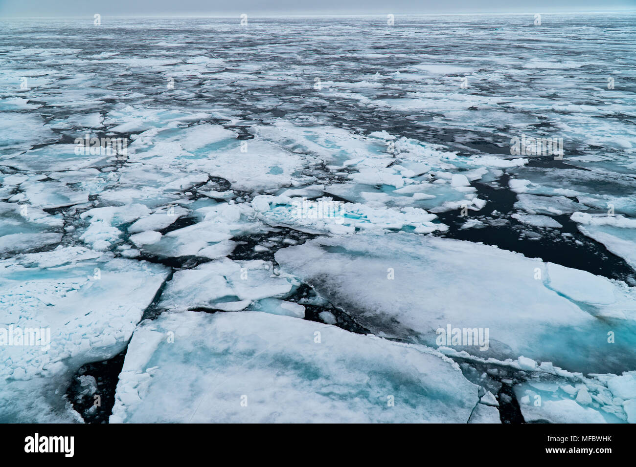 Arctic sea ice in Svalbard, Norway in June 4 Stock Photo - Alamy