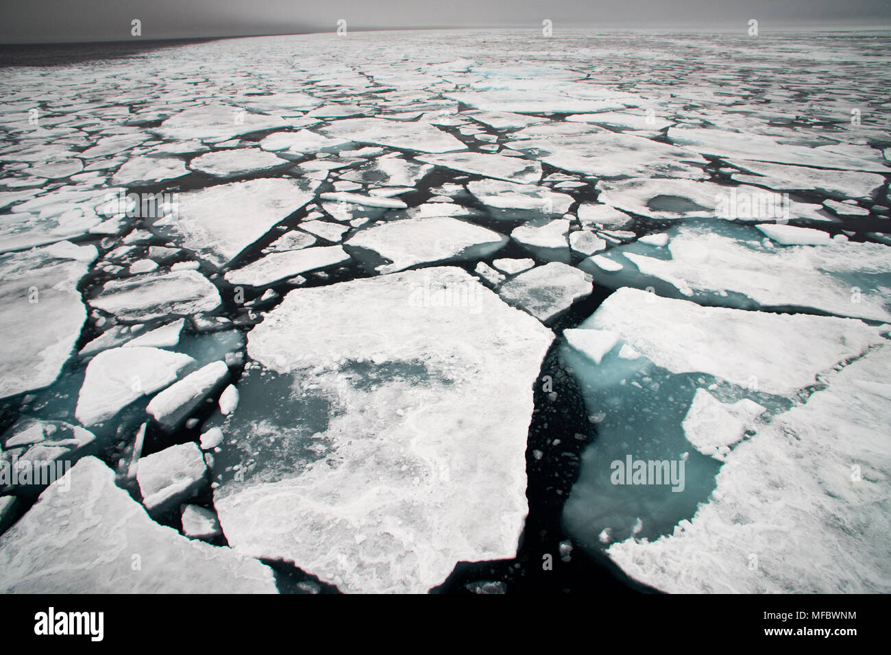 Arctic sea ice in Svalbard, Norway in June Stock Photo - Alamy