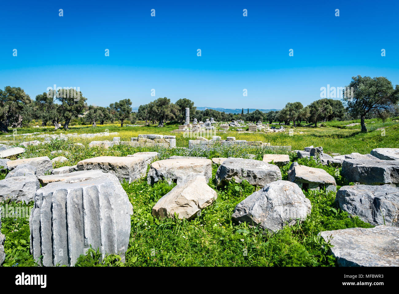 Ruins of Teos ancient city, Seferihisar, Izmir, Turkey Stock Photo - Alamy