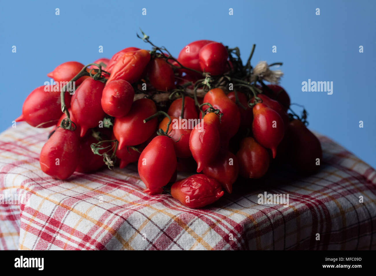 Tomatoes of Vesuvius joint in Piennolo, Naples Stock Photo - Alamy
