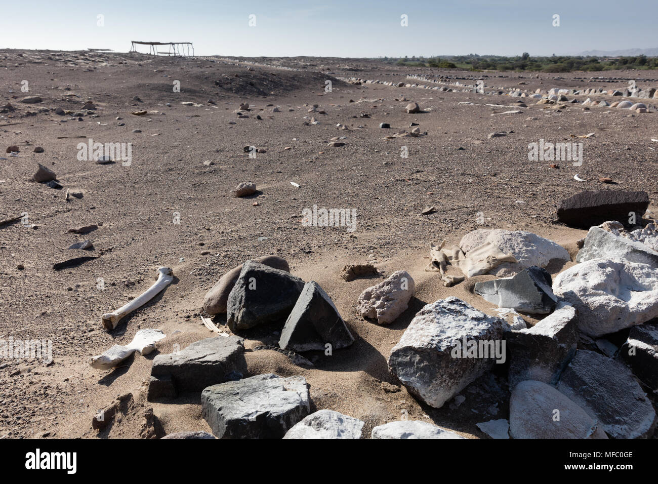 Bones in open inca cemetery in Nazca region , Peru Stock Photo - Alamy
