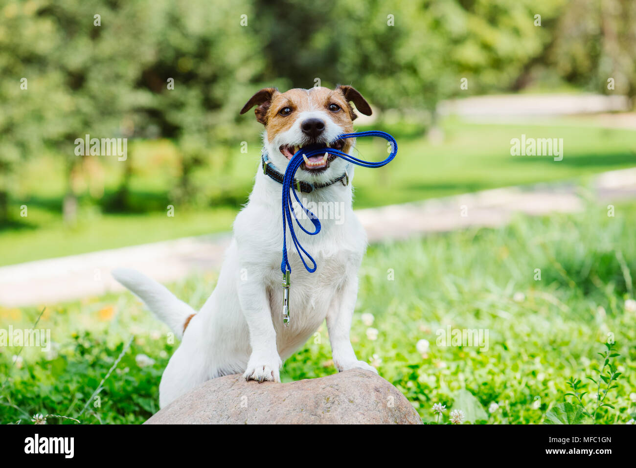 Happy morning hi-res stock photography and images - Alamy
