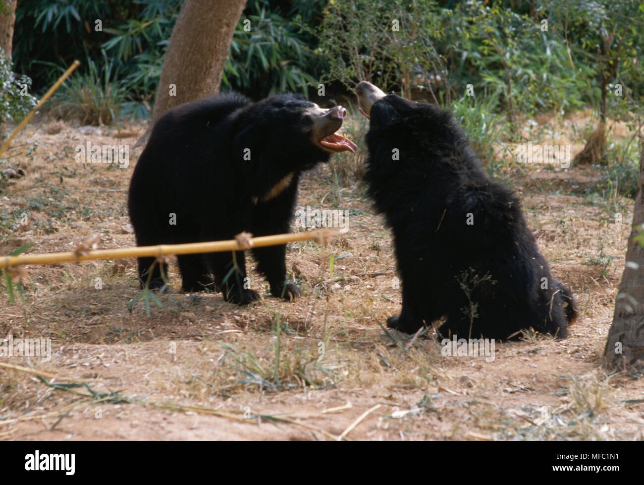 Aro000046a hi-res stock photography and images - Alamy