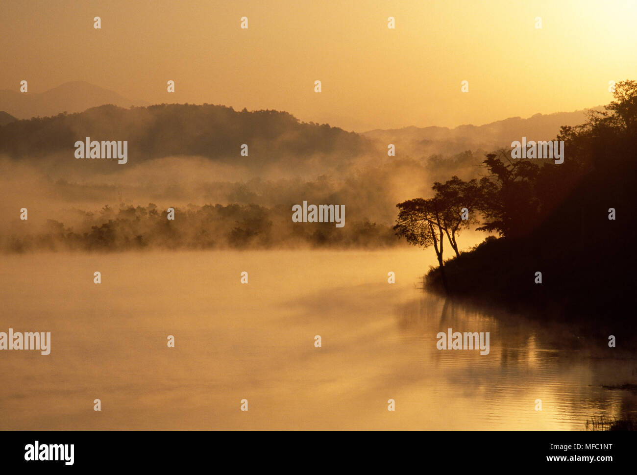 CORBETT NATIONAL PARK at dawn, on a misty morning. India Stock Photo ...