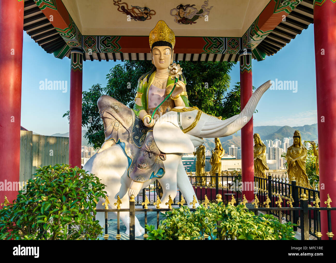 Thousand buddha pavilion hi-res stock photography and images - Alamy