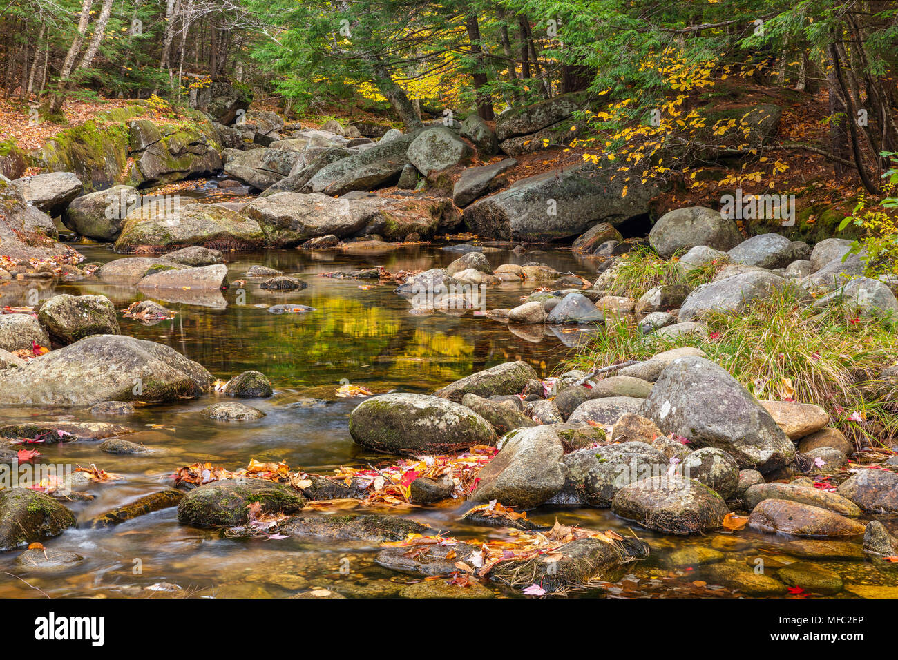 Fall foliage reflected in the Bear River, Grafton Notch State Park ...
